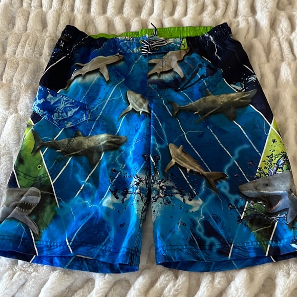 ZeroXposur | Swim | Shark Swim Trunks L 416 Beach Board Shorts Mesh ...